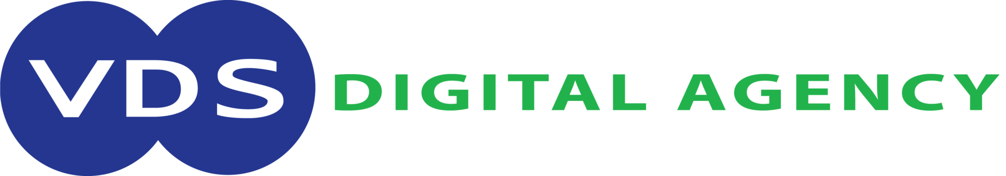 Digital Agency – VDS Publishers